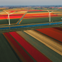 US to Netherlands Power Adapter: What Plug Do I Need? (2023)