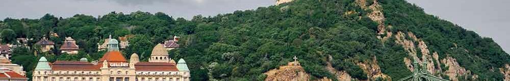 US to Hungary Power Adapter: What Plug Do I Need? (2022)