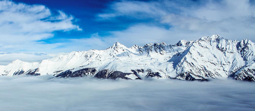 Contact us - Asher & Lyric