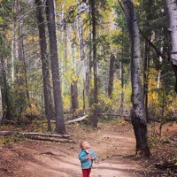 U.S. to Fiji Power Adapter: What Plug Do I Need? (2024)