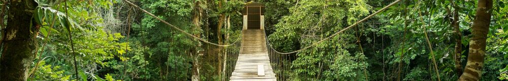 U.S. to Belize Power Adapter: What Plug Do I Need? (2023)