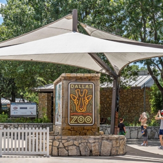 17 Top Dallas Packing List Items for 2023 + What to Wear & NOT to Bring