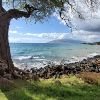 31 Best Things to Do on Maui in 2025 (Locals Guide)
