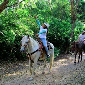 15 Best Things to Do in Cancun with Kids